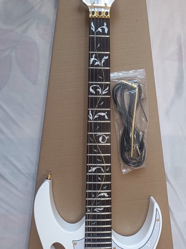 Custom Iban Style Electric Guitar OEM, fingerboard inlay, Floyd Rose ...