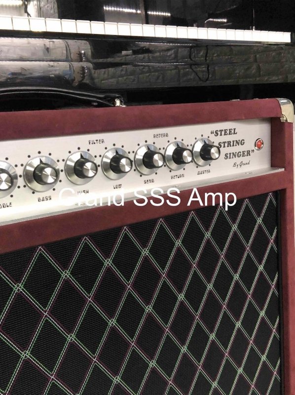 Dumble SSS Combo 20W with G12-65 / V30 Speaker Grand Amp