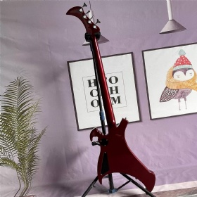 Custom 4 Strings Irregular Special Body Shape Electric Bass Guitar in ...